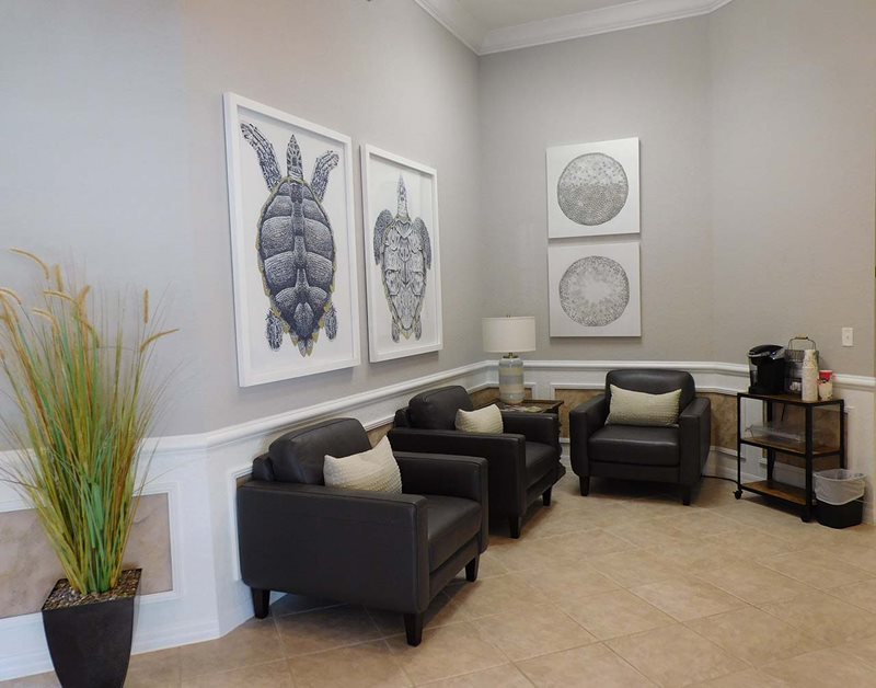 1, 2 & 3-Bedroom Apartments for Rent in Hillsborough County, FL